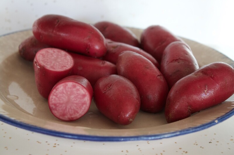 Fingerling Seed Potatoes at The Maine Potato Lady | Shop Online | The ...