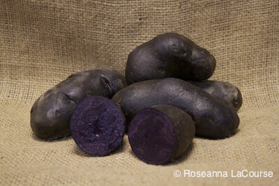 Organic Magic Molly Fingerling Seed Potatoes | The Maine Potato Lady's ...