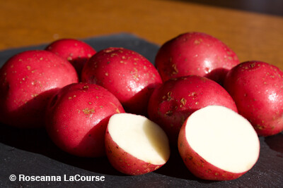 Optimize Your Harvest: Mid Season Seed Potatoes at The Maine Potato ...