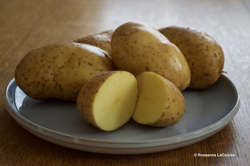 Optimize Your Harvest: Mid Season Seed Potatoes at The Maine Potato ...