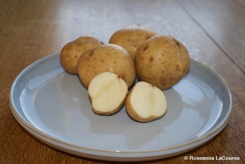 Extend Your Harvest: Late Season Seed Potatoes at The Maine Potato Lady ...
