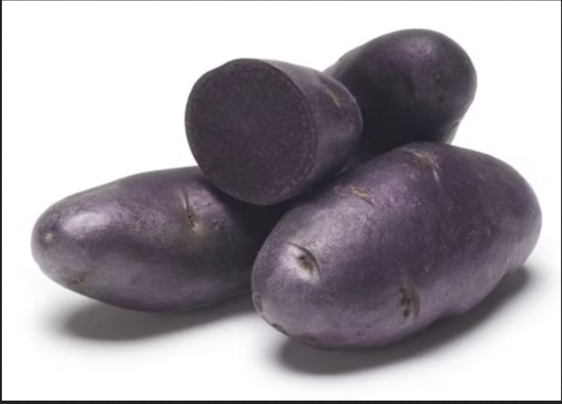 Purple Fiesta Seed Potatoes | Shop Online | The Maine Potato Lady