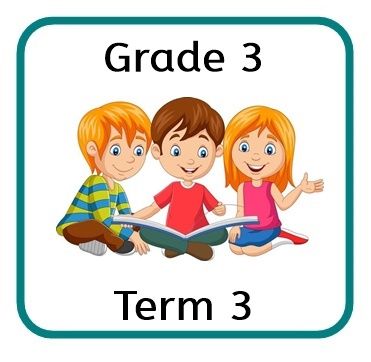 Grade 3 Term 3