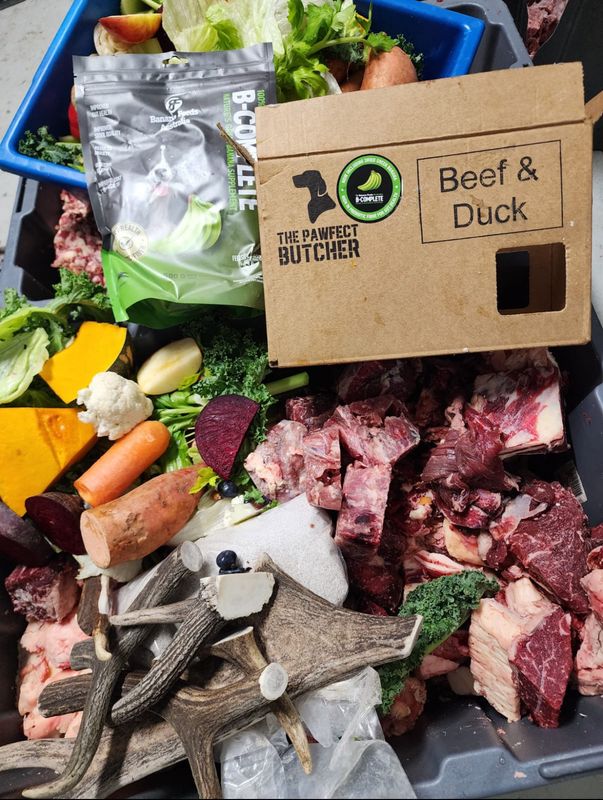 Beef and Duck 1kg (4x 250g Portions)