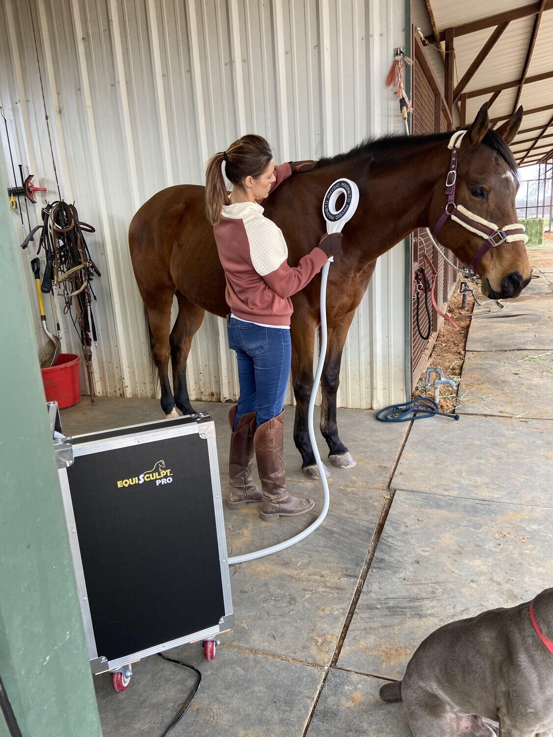 EquiSculpt PRO PEMF Paddle + Infrared Wand