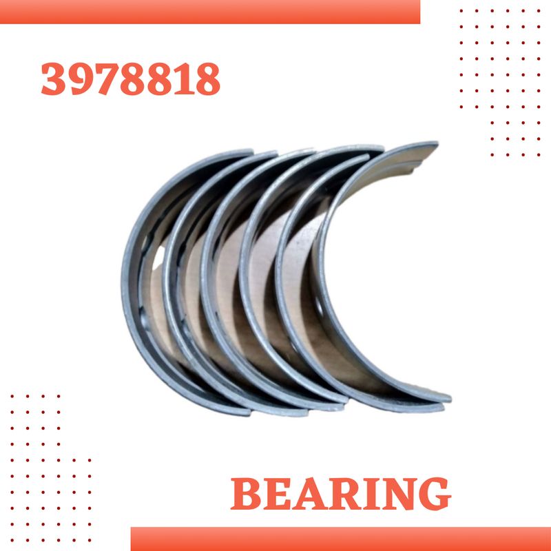 CUMMINS Bearing C3978818
