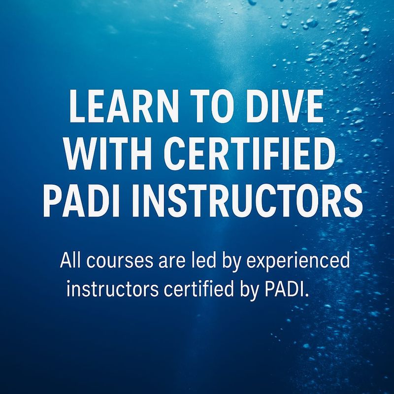 Courses with PADI-Certified Instructors