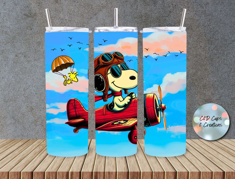 Snoopy Plane