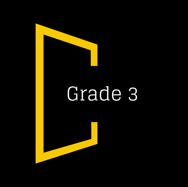 Grade 3