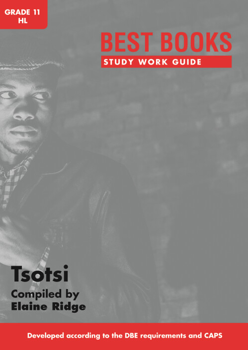 Tsotsi Study Work Guide Gr. 11