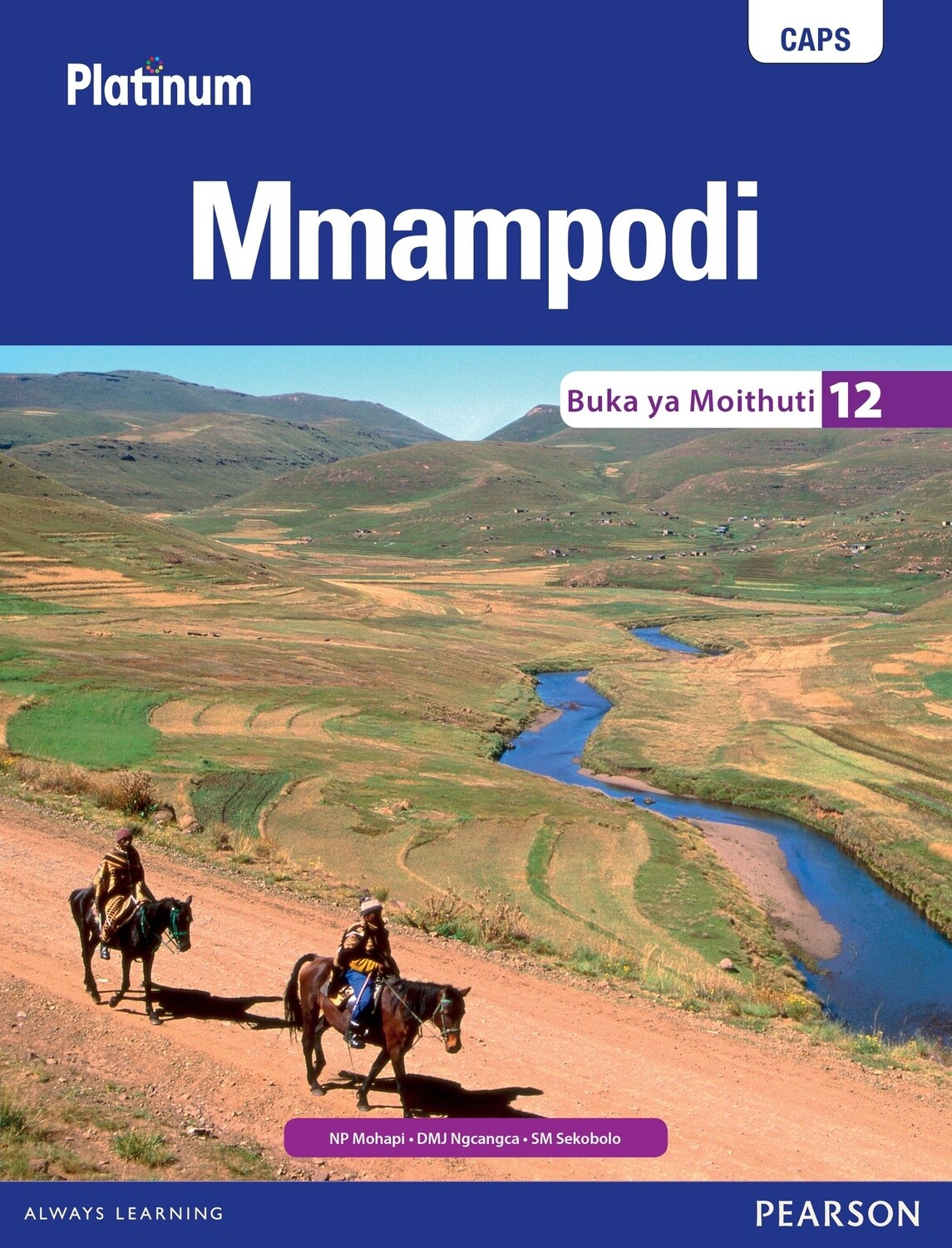Platinum Mmampodi Grade 12 Learner's Book