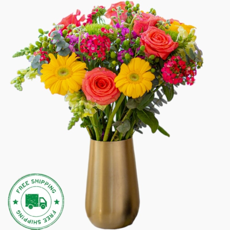 Magic Premium Subscription