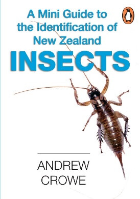 A Mini Guide to the Identification of NZ Insects – Store – Tiritiri Matangi