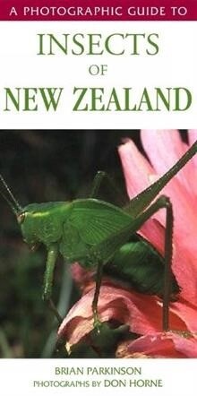 Photographic Guide to Insects of NZ – Store – Tiritiri Matangi
