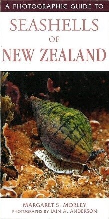 Photographic Guide to Seashells of NZ – Store – Tiritiri Matangi