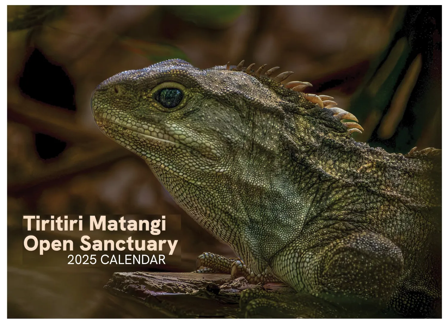 2025 Wall Calendar – Store – Tiritiri Matangi