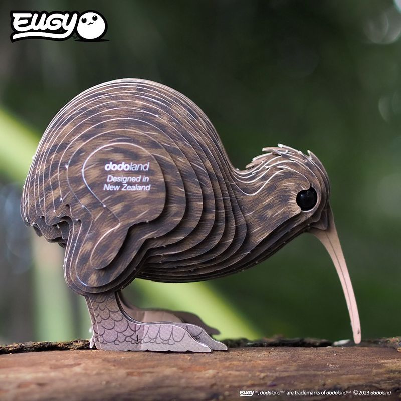 3D Cardboard Model – Store – Tiritiri Matangi