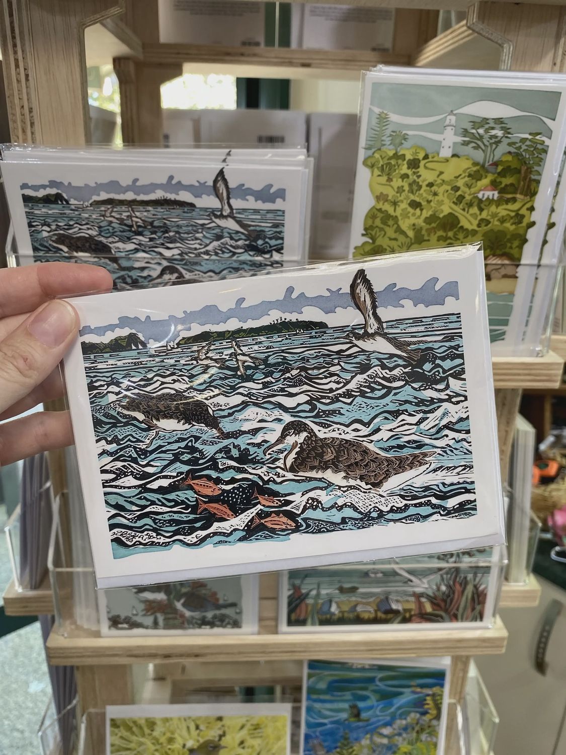 Card- Pukaka/Shearwaters by V.Davimes – Store – Tiritiri Matangi