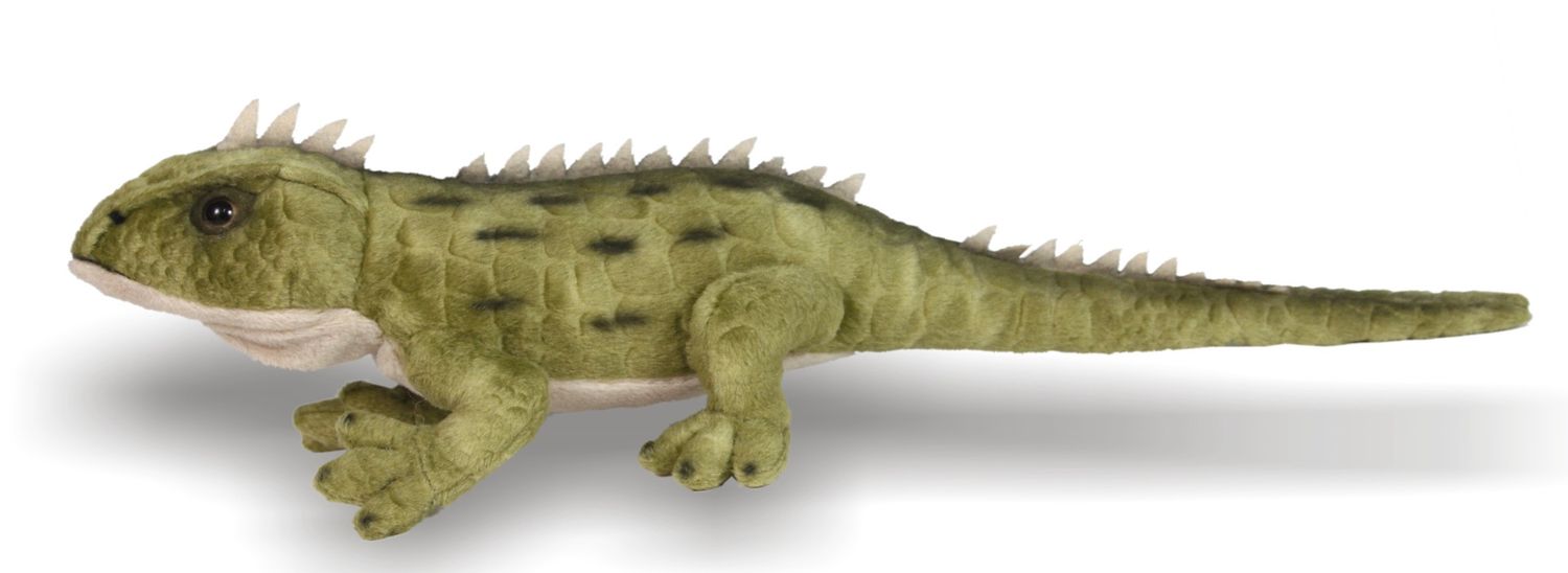 Plush Toy- Tuatara w sound – Store – Tiritiri Matangi