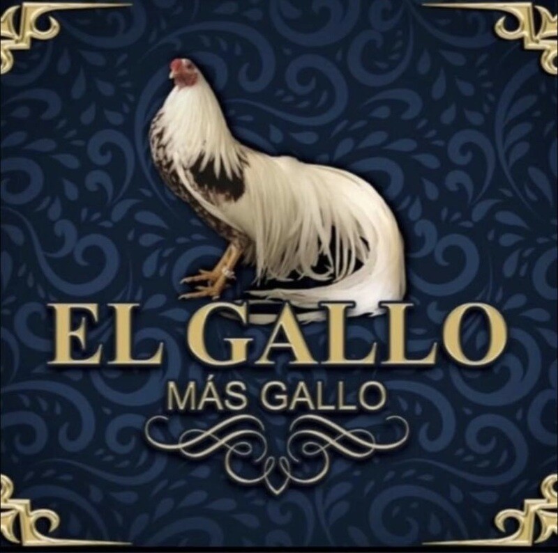 El Gallo Mas Gallo