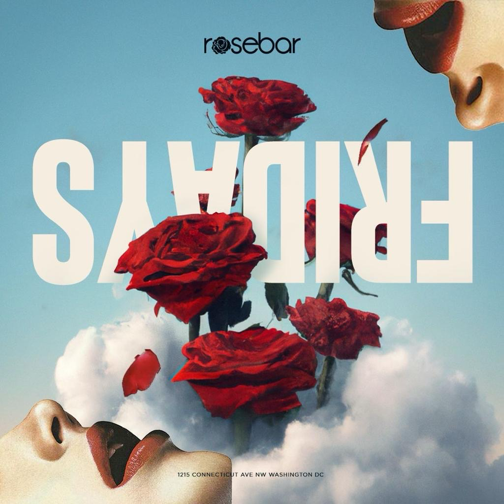 ROSEBAR LOUNGE - A premier night club in Washington DC