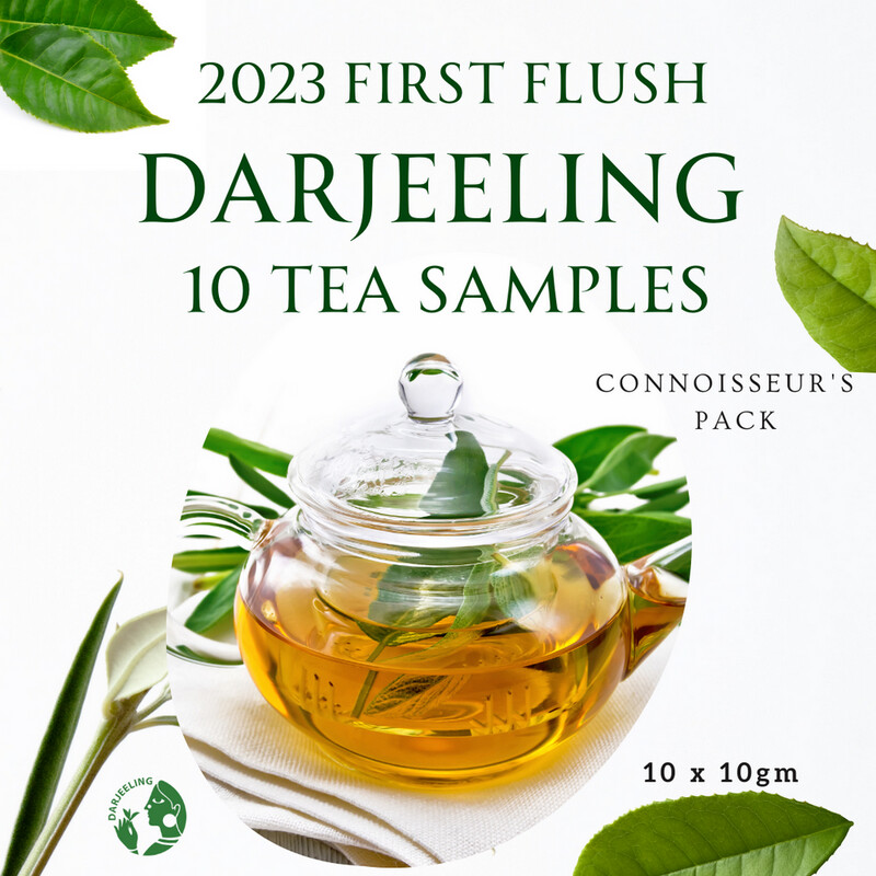2023 First Flush Darjeeling Tea | Spring Flowery | Orange Pekoe