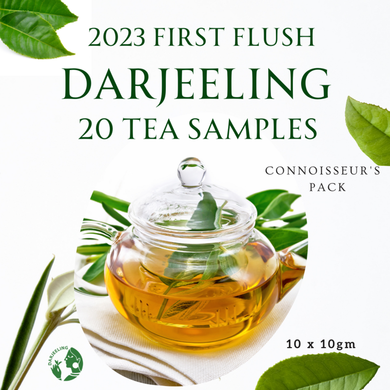 2023 First Flush Darjeeling Tea | Spring Flowery | Orange Pekoe