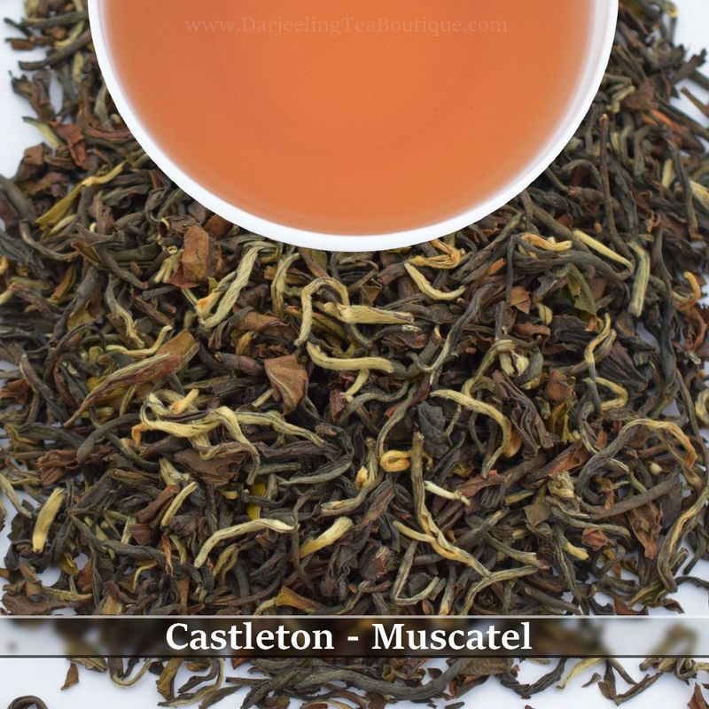 Darjeeling Tea | Buy Premium Loose Leaf Single Origin Tea Online