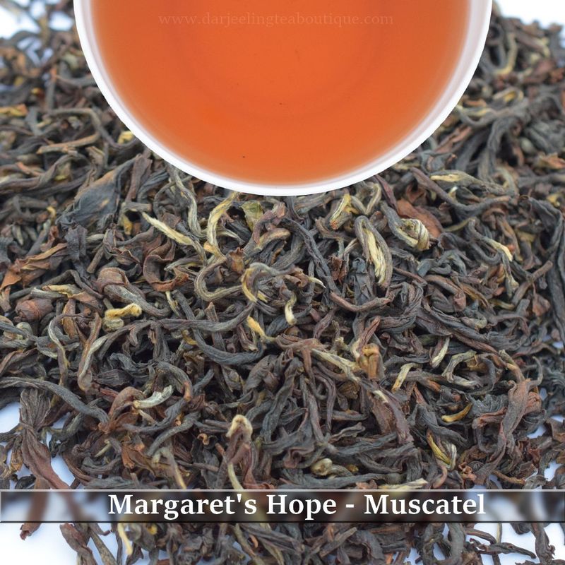 Puttabong Tea Estate - Tukvar Tea Estate - Darjeeling Tea Garden