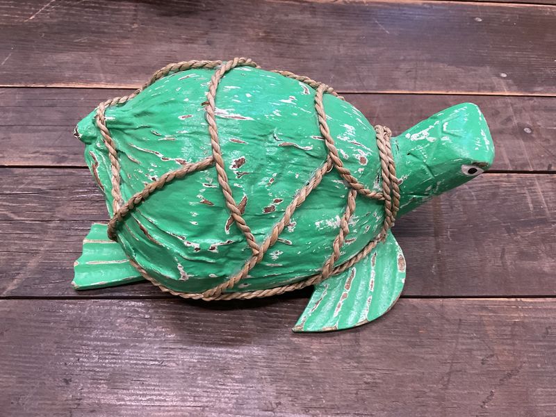 COCONUT TURTLE