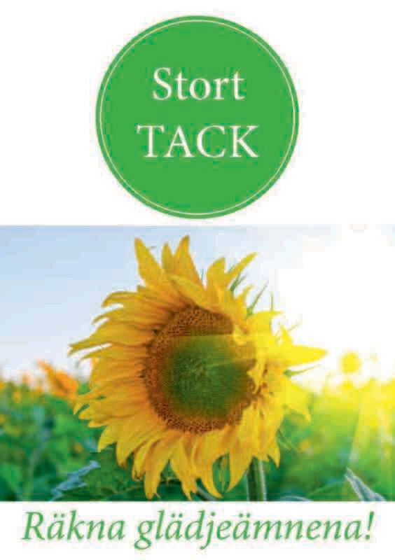 Småkort "Stort Tack"