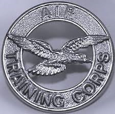 ATC Cap Badge