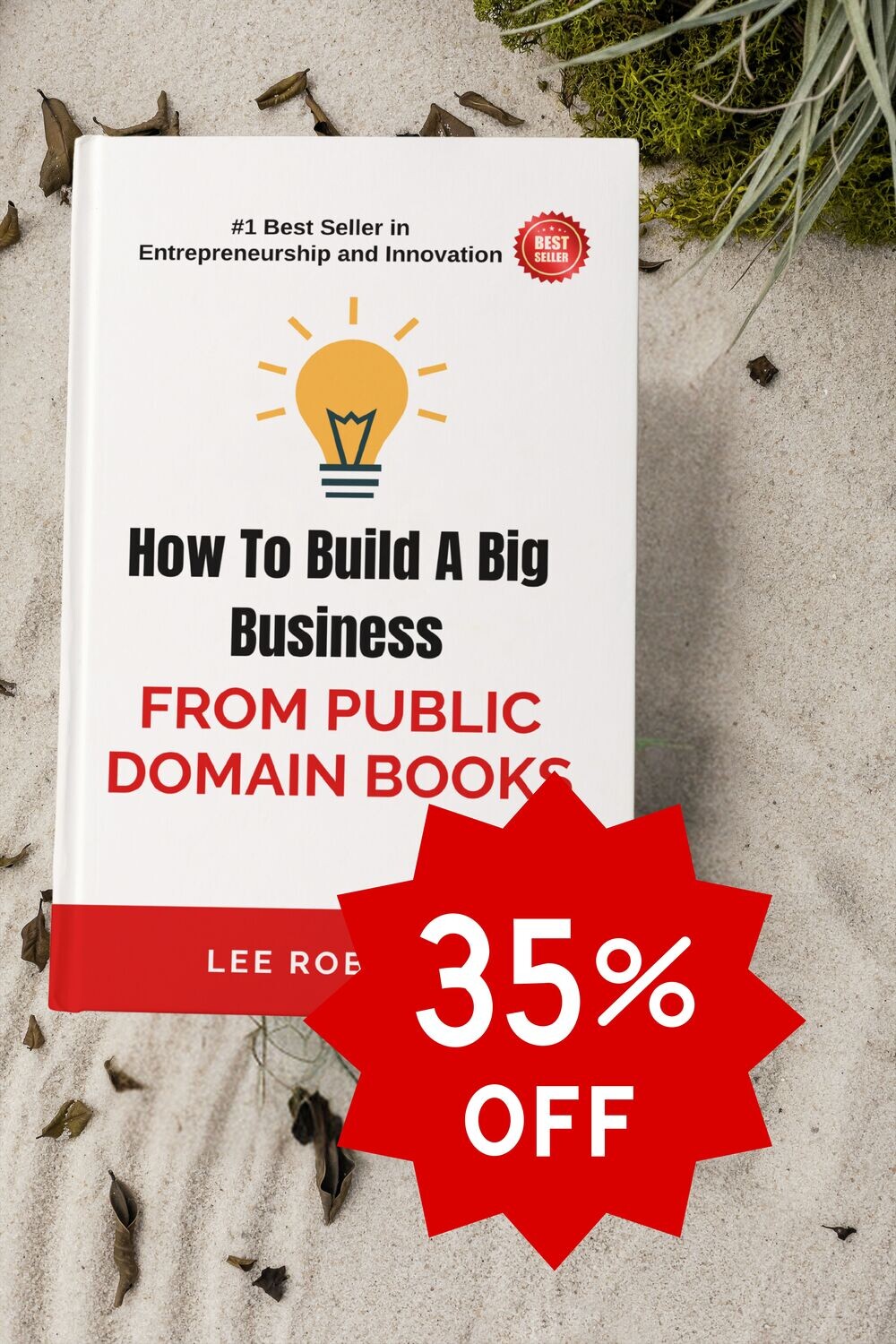 Ebook: How to Build a Big Business From Public Domain Books by Lee Roberts