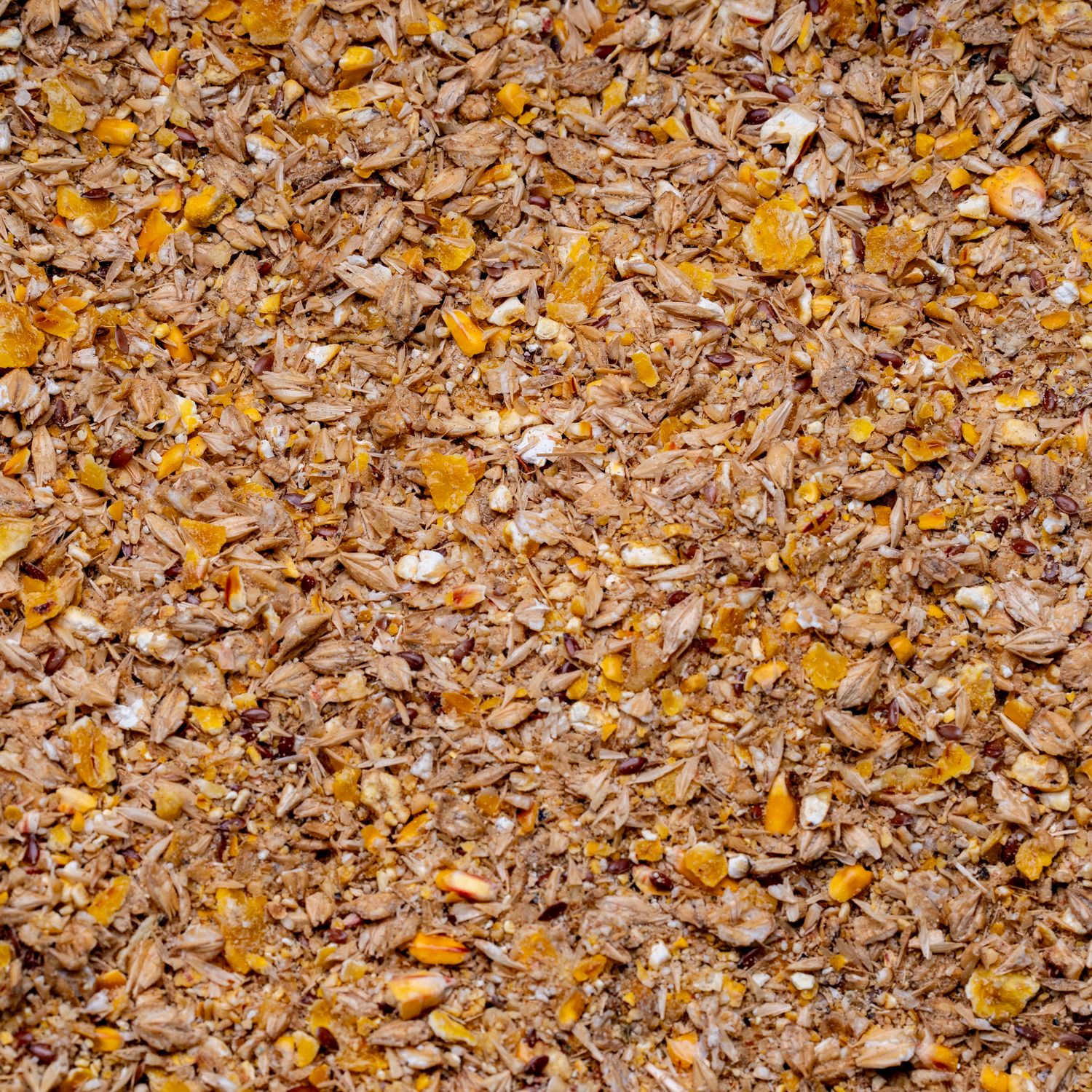 ALL IN ONE - PROTECT MÜSLI - HAFERFREIES MÜSLI OHNE PELLETS FÜR PFERDE