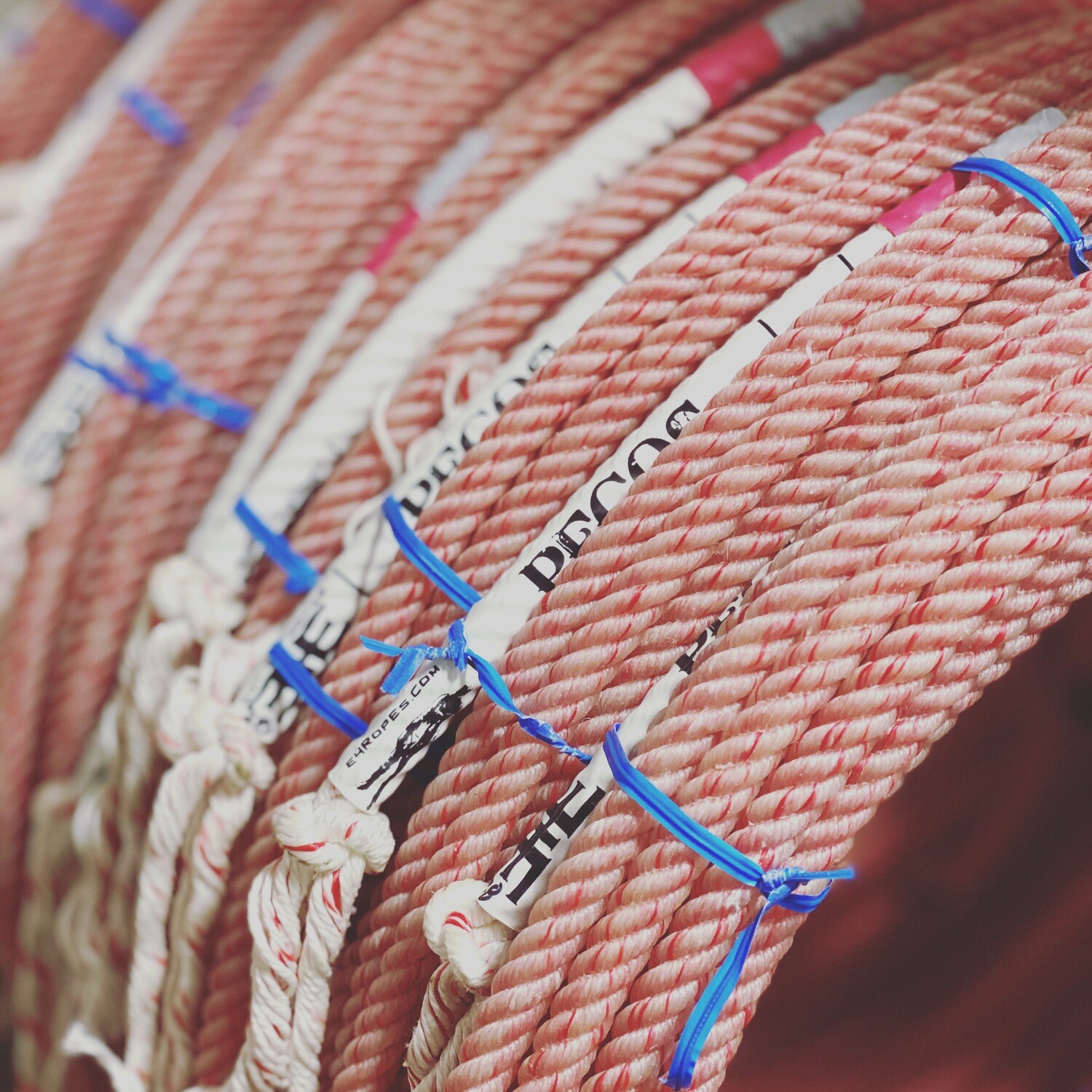 Ranch Ropes