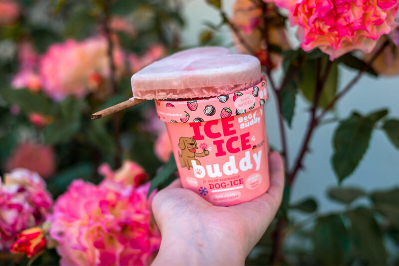 Hunde Eis / Ice Buddy