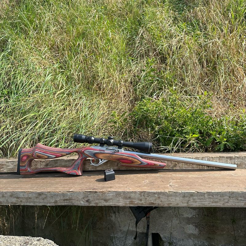 Ruger Target 10/22 | Pre-Owned