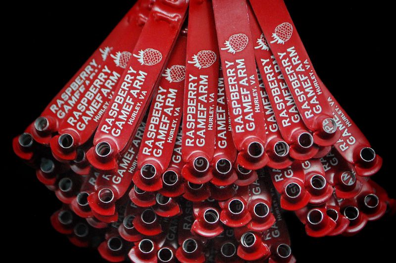 Personalized Aluminum Poultry Leg & Wing Bands