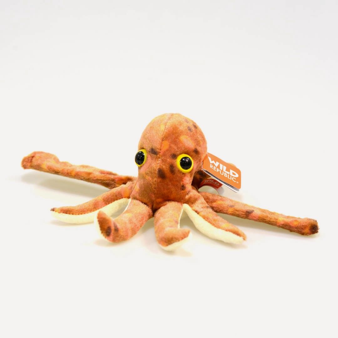 Octopus Hugger - Shop Shoalhaven - Shoalhaven - South Coast NSW
