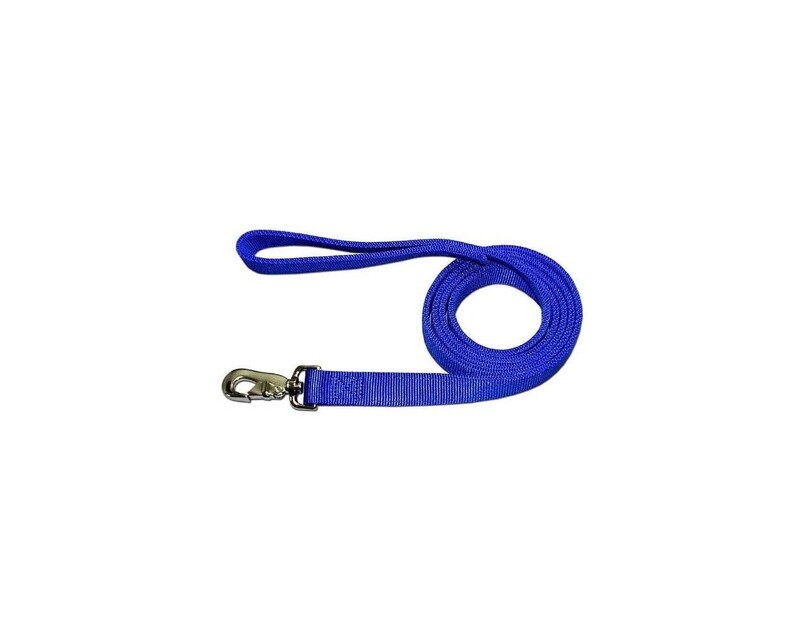 1" NYLON 4FT 2PLY BLUE LEAD