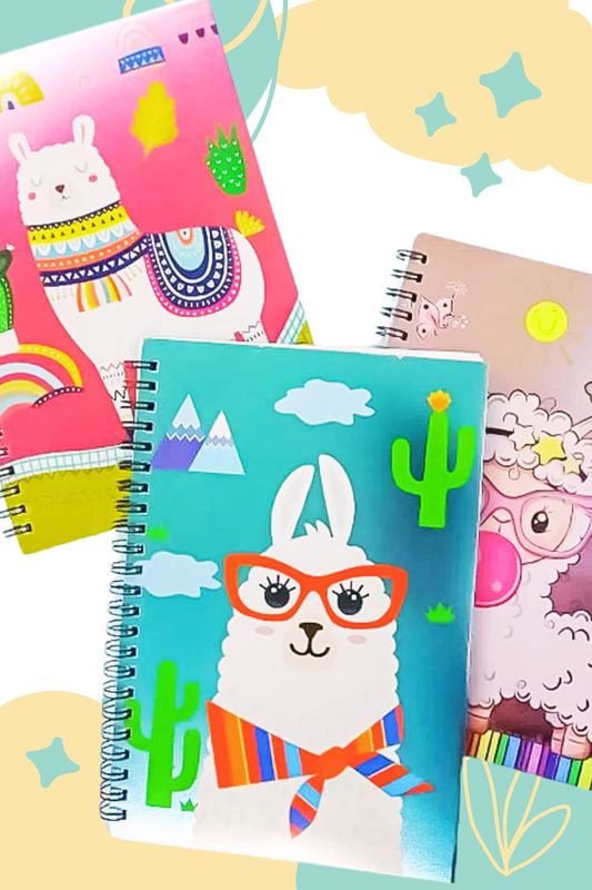 Papeleria Merida Distribuidora