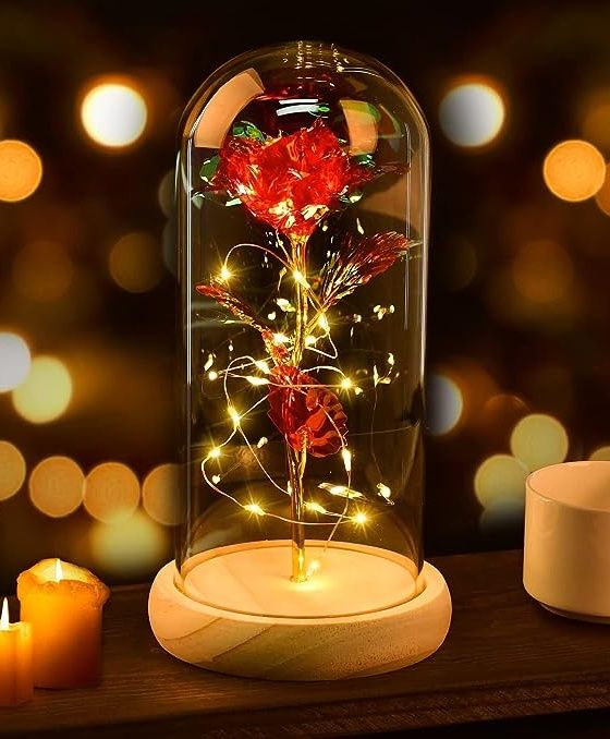 Eternal Red Rose Globe