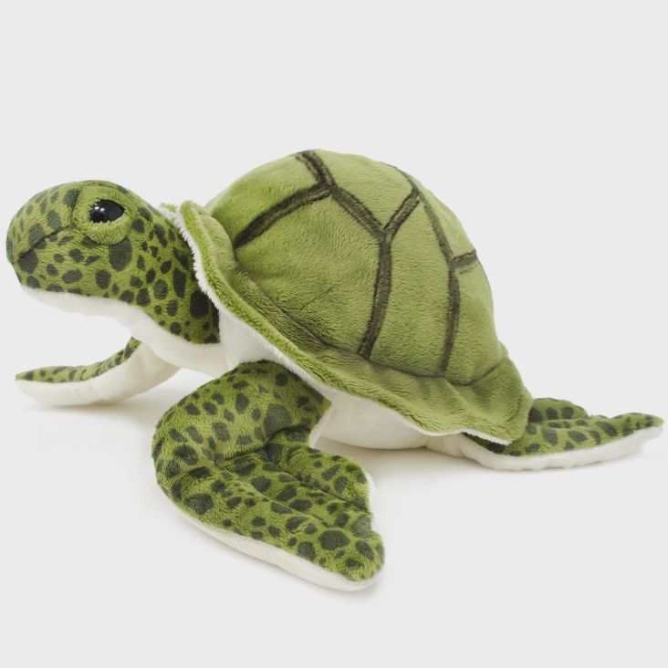 Turquoise the Green Sea Turtle Plush – Soft & Story-Driven Gift