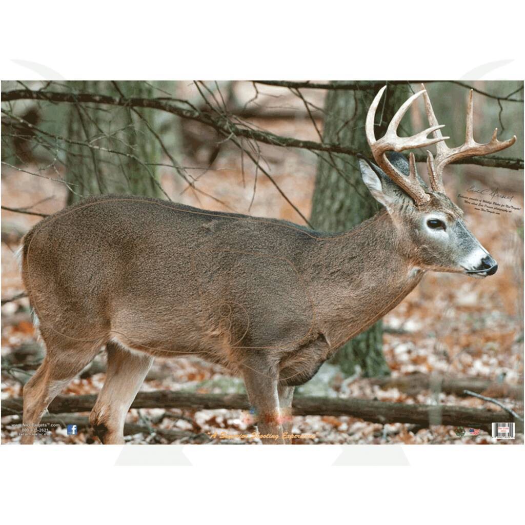 Nice Targets TNT Deer 1BR Target 28" x 40" - Triggers and Bows ...
