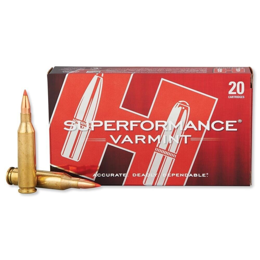 Hornady Superformance Varmint 243 Win. 75 Grain V-Max (20 Rounds ...