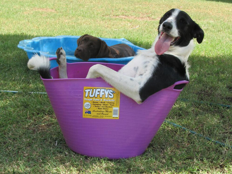 Tuffys Flex Bucket & Tub Range
