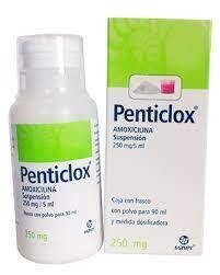 PENTICLOX 250 MG/75 ML SUSP
