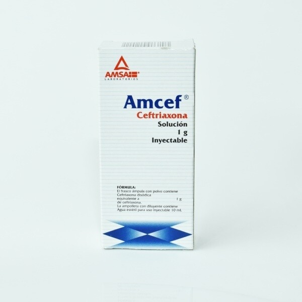 AMCEF 1 G AMP IM