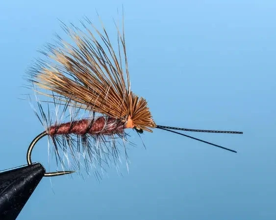 Various Single-Pattern Caddis - Various Single-Pattern Caddis - Dry Fly ...