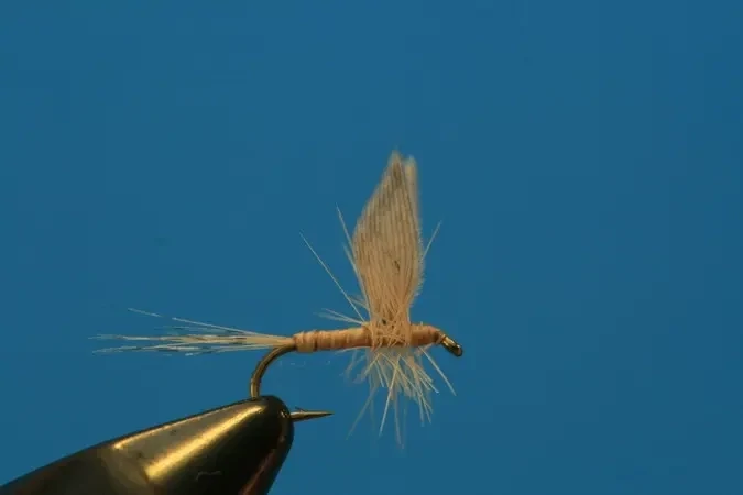 Various Single-Pattern Mayflies - Various Single-Pattern Mayflies - Dry ...